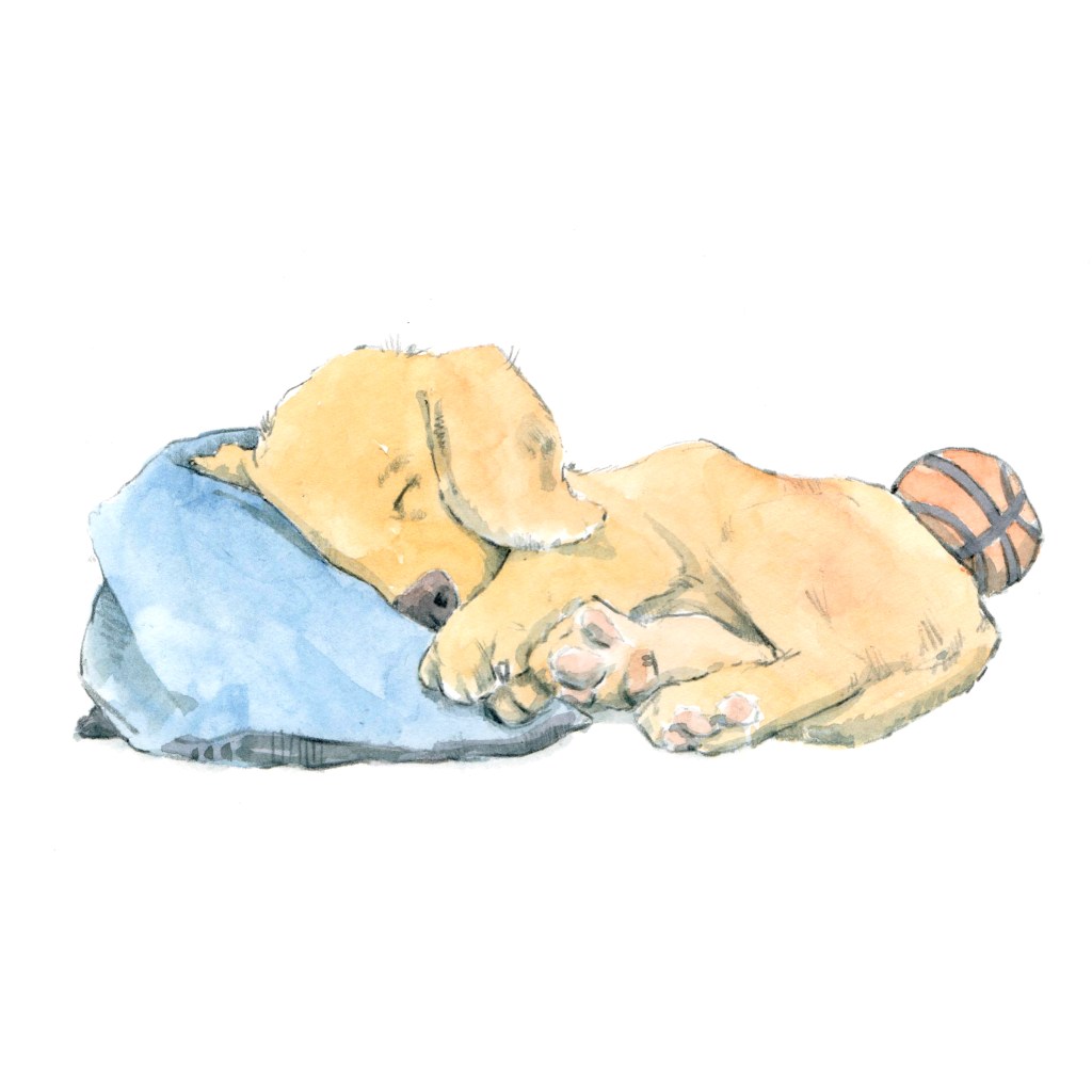 Sleeping dogs – Iain Welch Art and Design