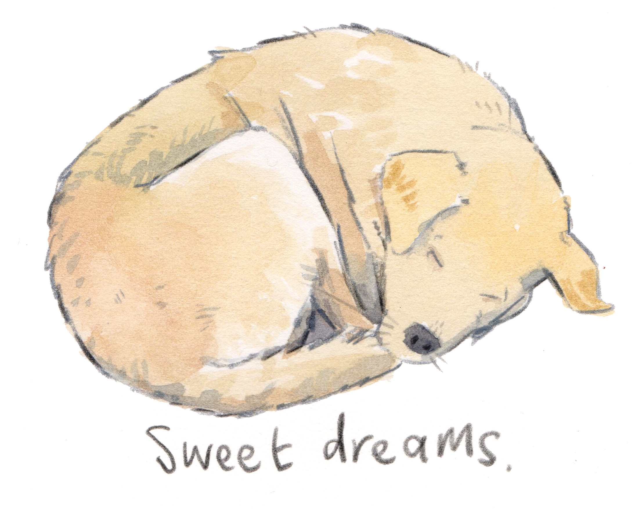 Sleeping dogs – Iain Welch Art and Design