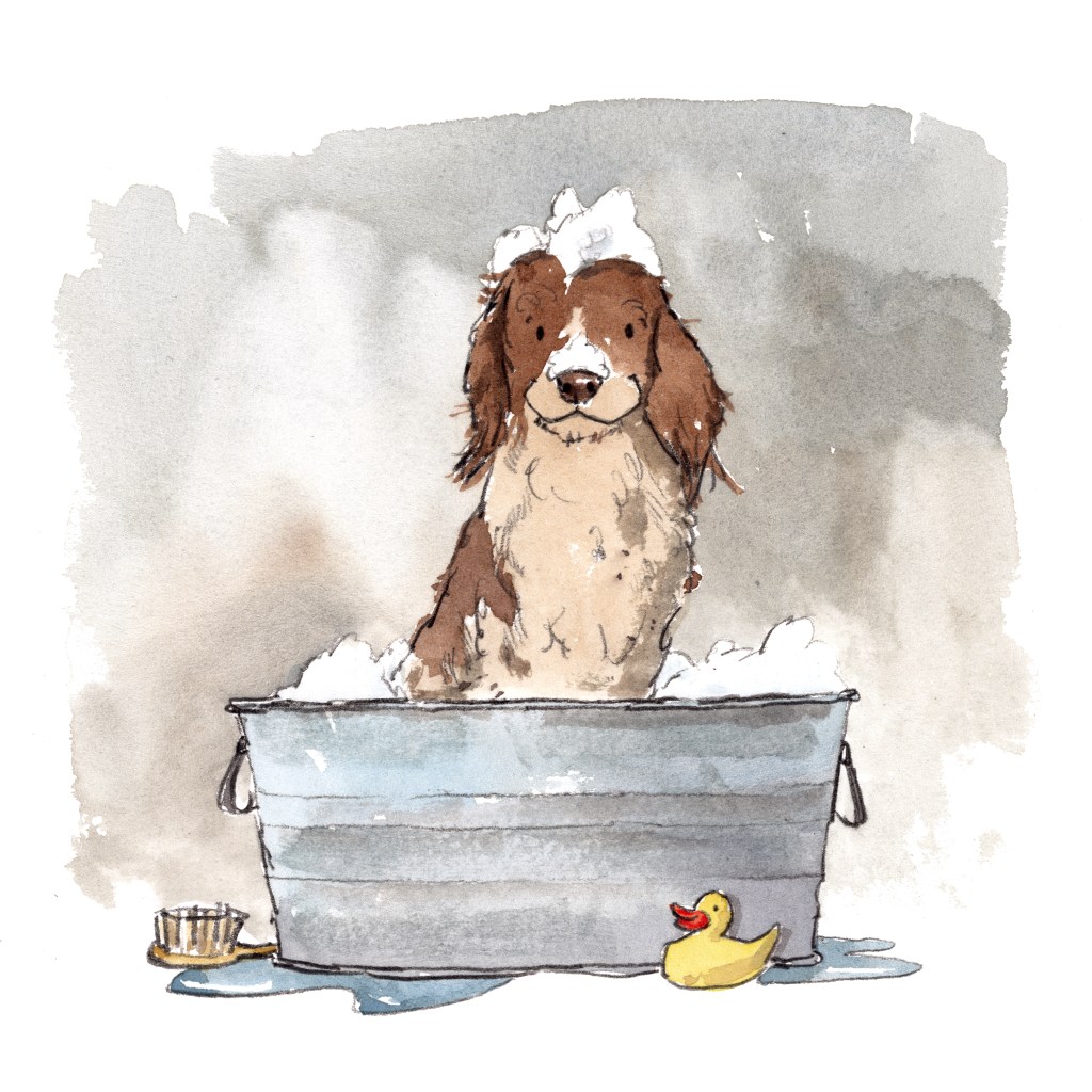 September Dogs – Iain Welch Art and Design