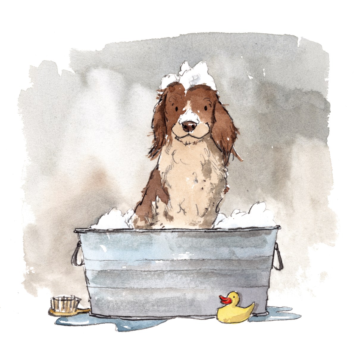 September Dogs – Iain Welch Art and Design