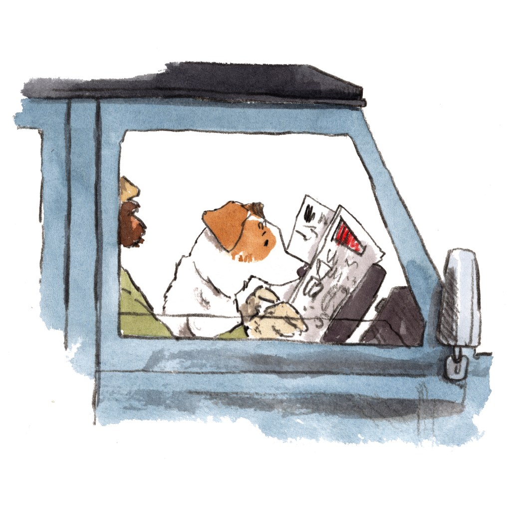 September Dogs – Iain Welch Art and Design