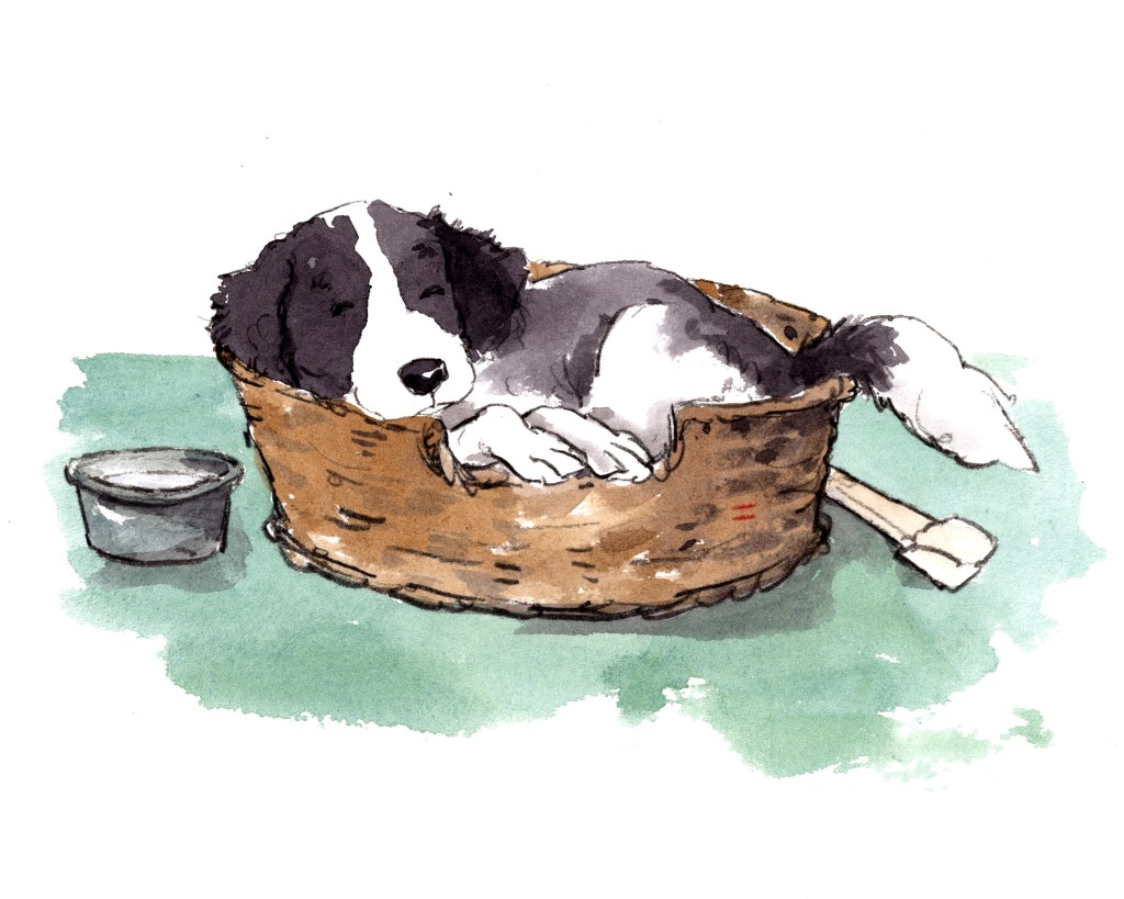 September Dogs – Iain Welch Art and Design