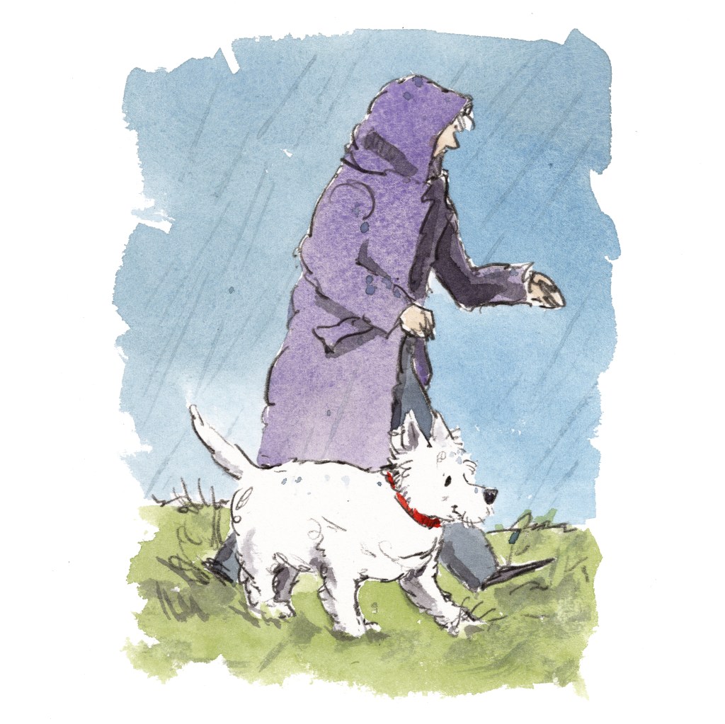 September Dogs – Iain Welch Art and Design