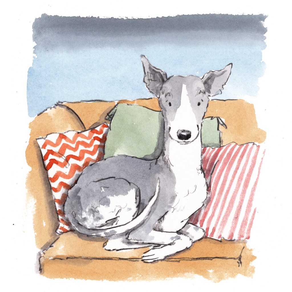 September Dogs – Iain Welch Art and Design