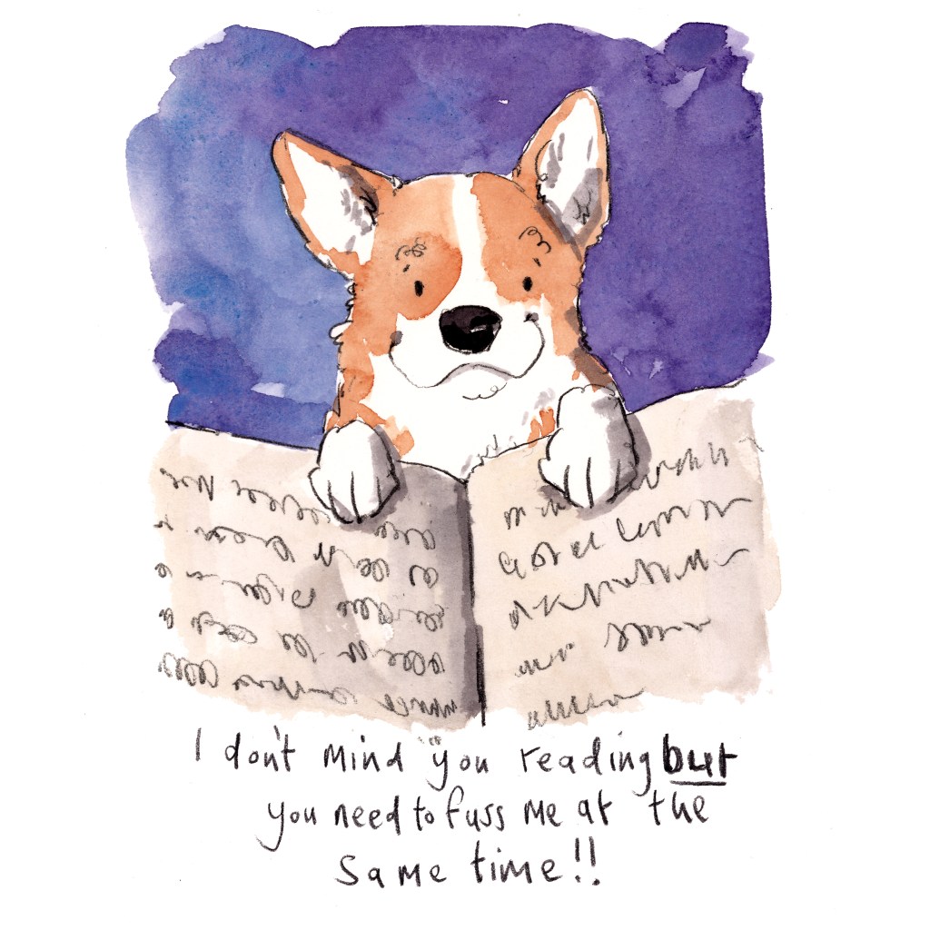 Corgi week – Iain Welch Art and Design