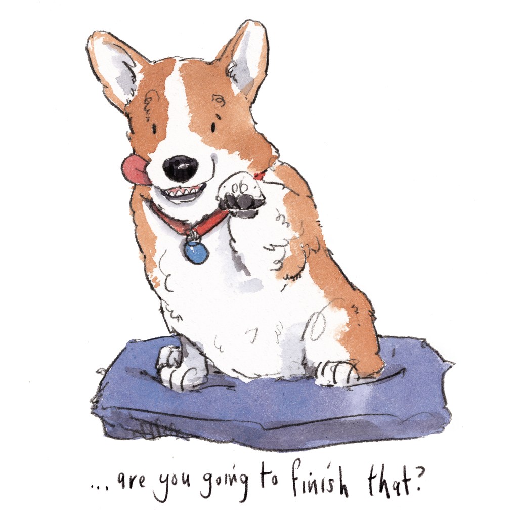 Corgi week – Iain Welch Art and Design