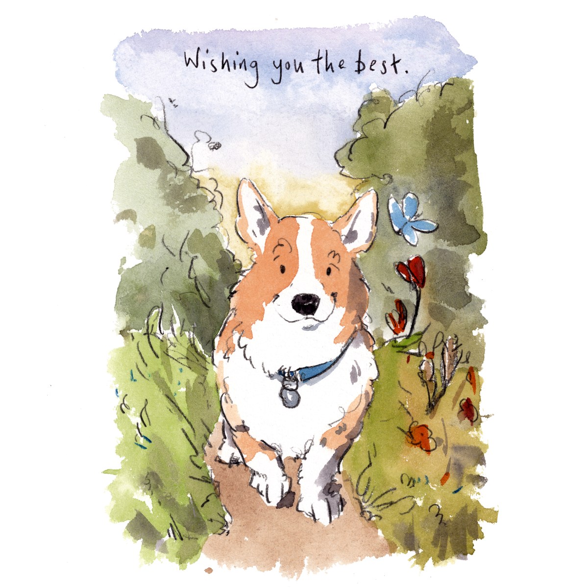 Corgi week – Iain Welch Art and Design