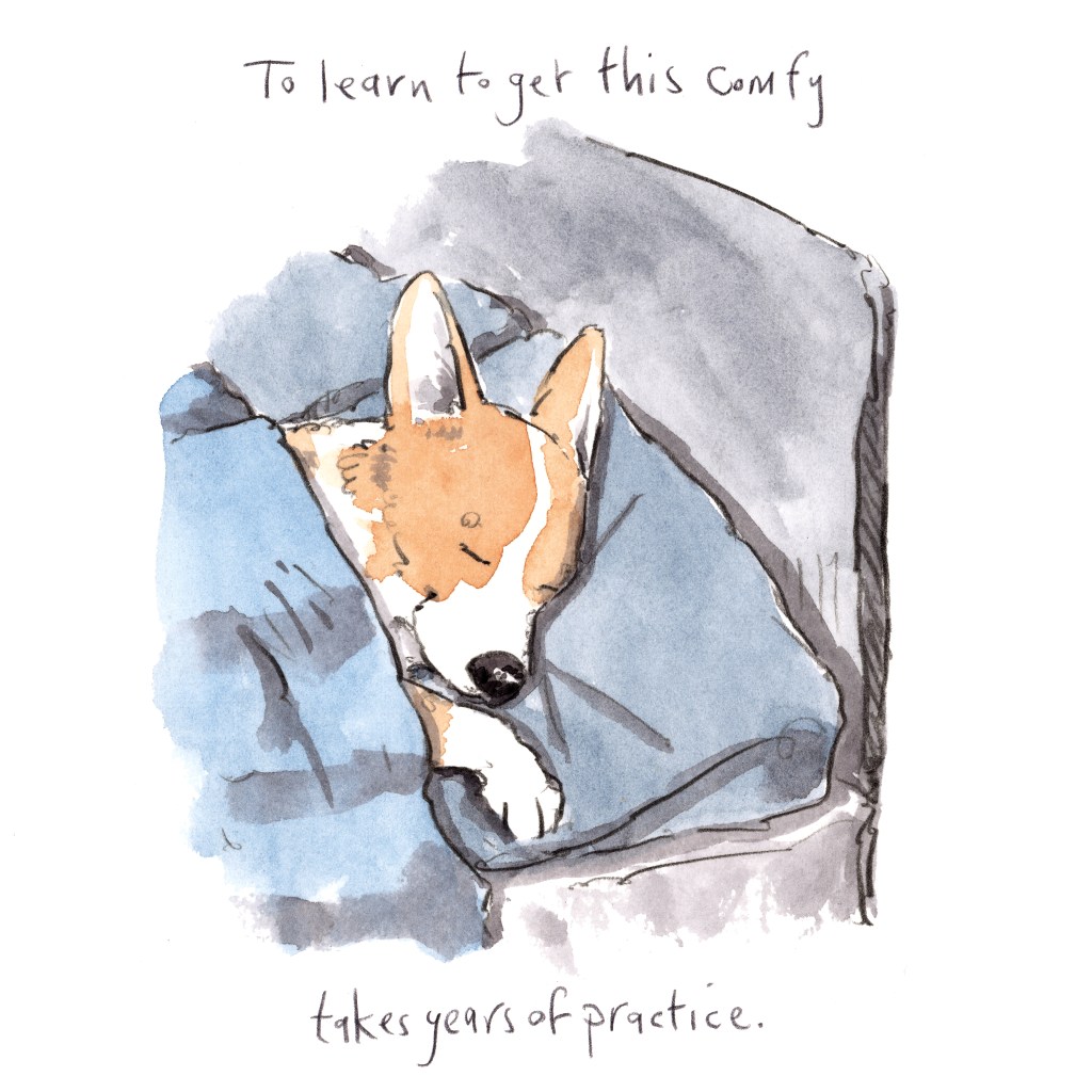 Corgi week – Iain Welch Art and Design