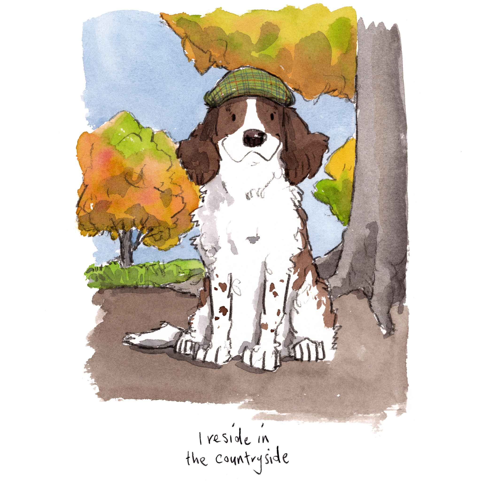 Springer week – Iain Welch Art and Design