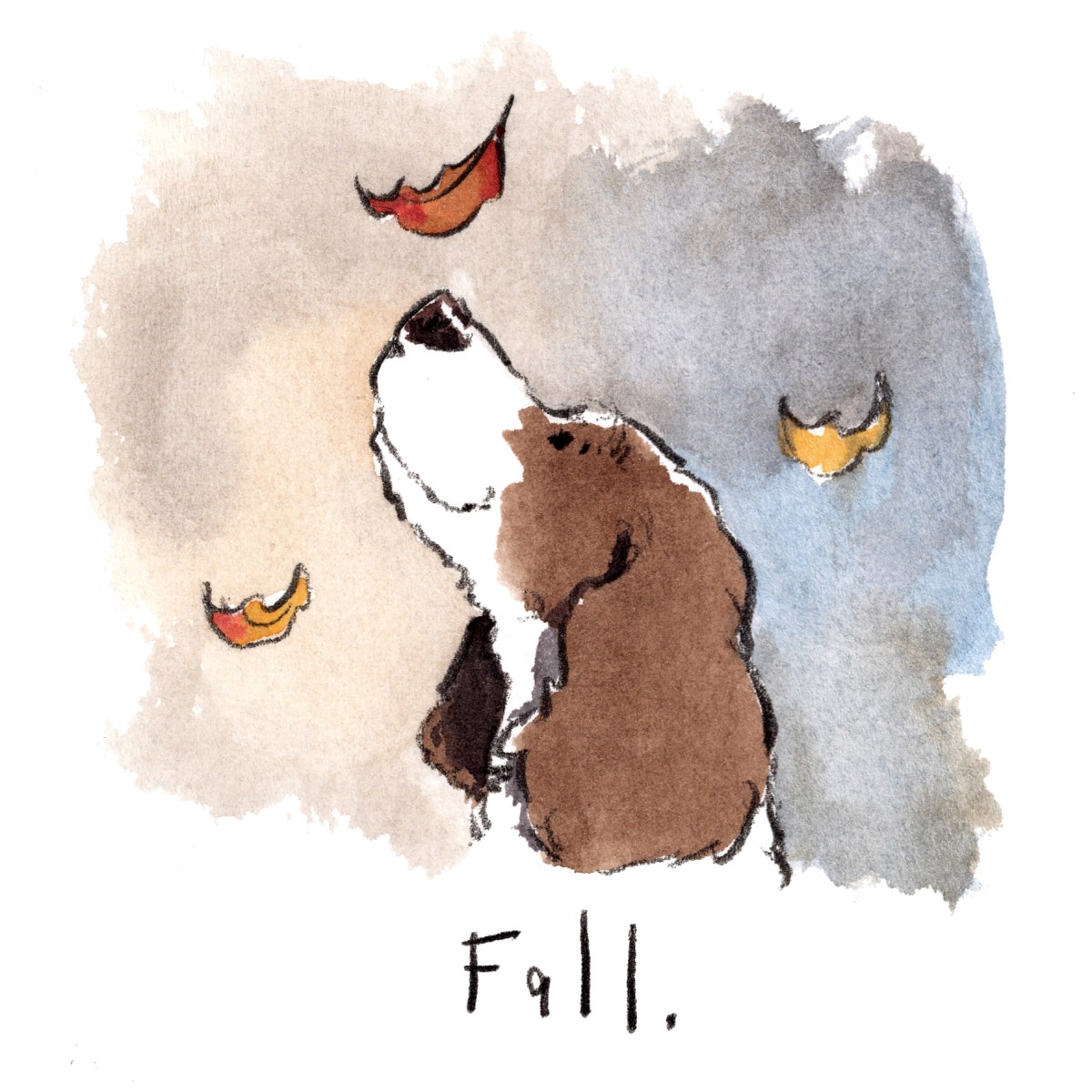 Springer week – Iain Welch Art and Design