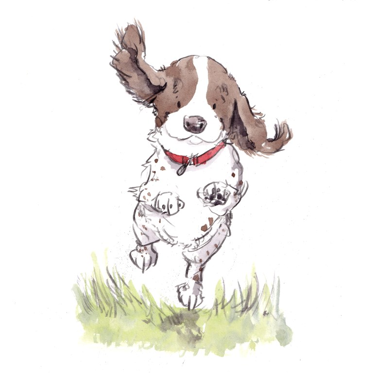 Springer week – Iain Welch Art and Design