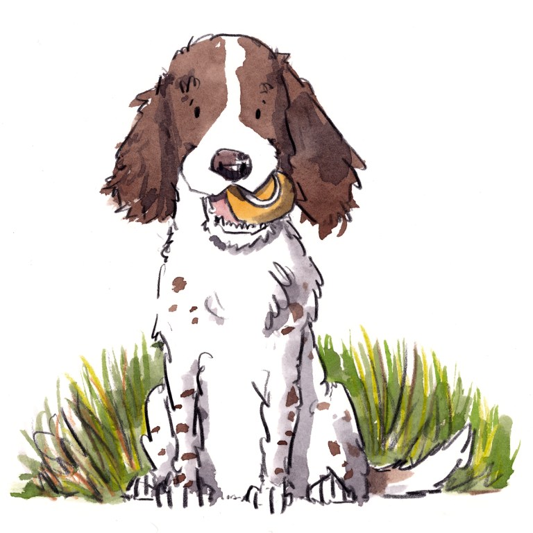 Springer week – Iain Welch Art and Design