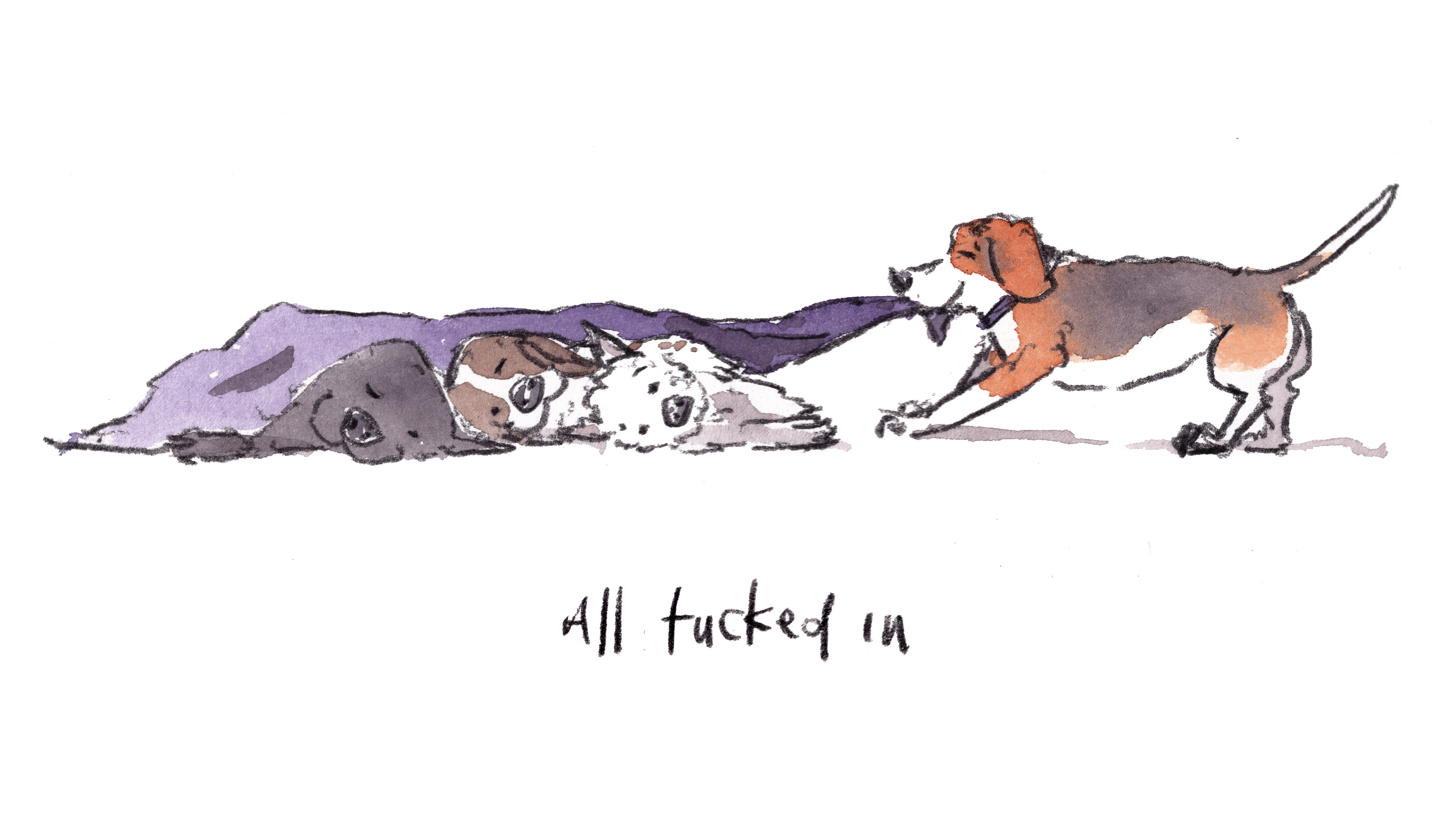 January – Iain Welch Art and Design