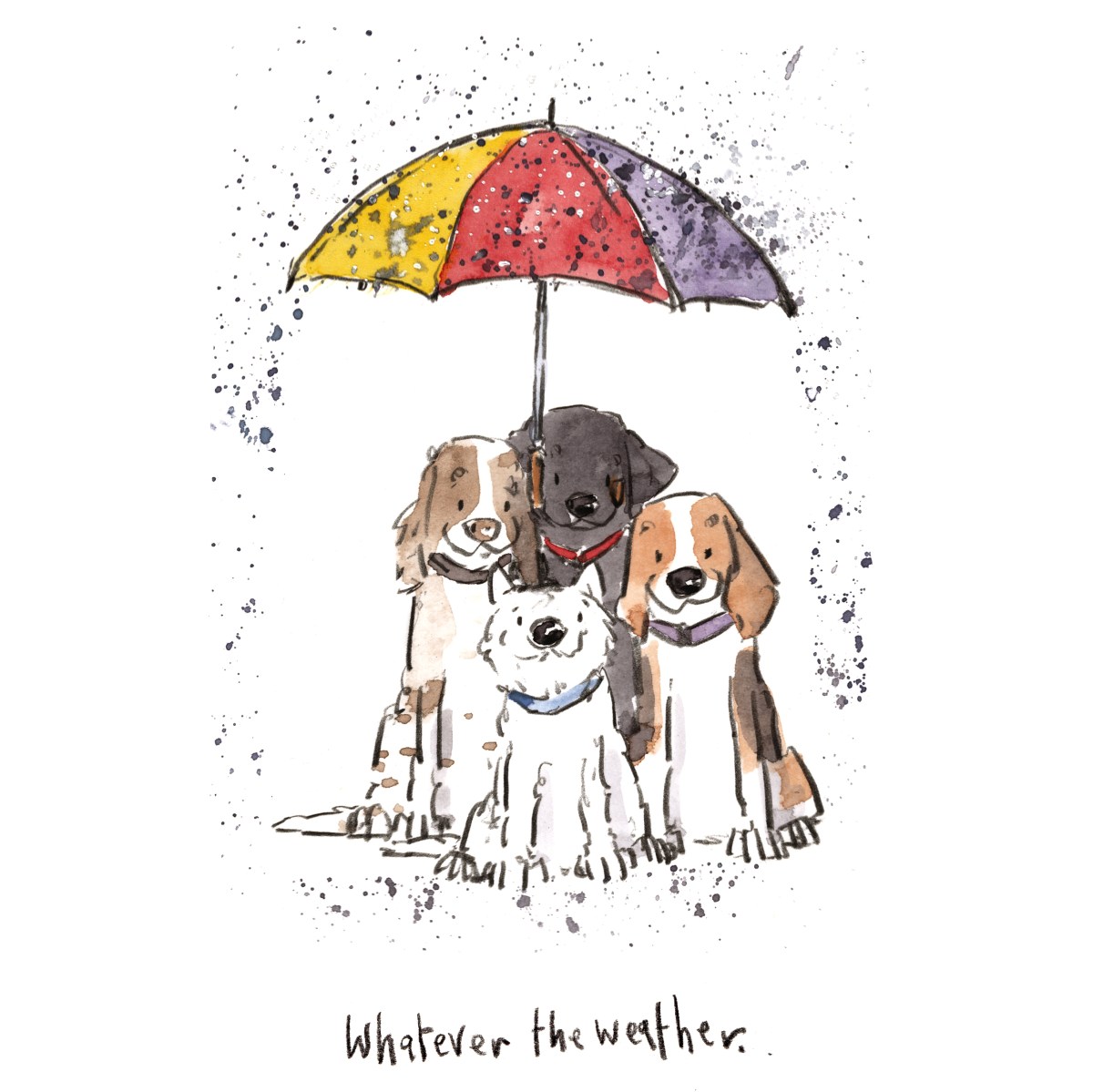 January – Iain Welch Art and Design