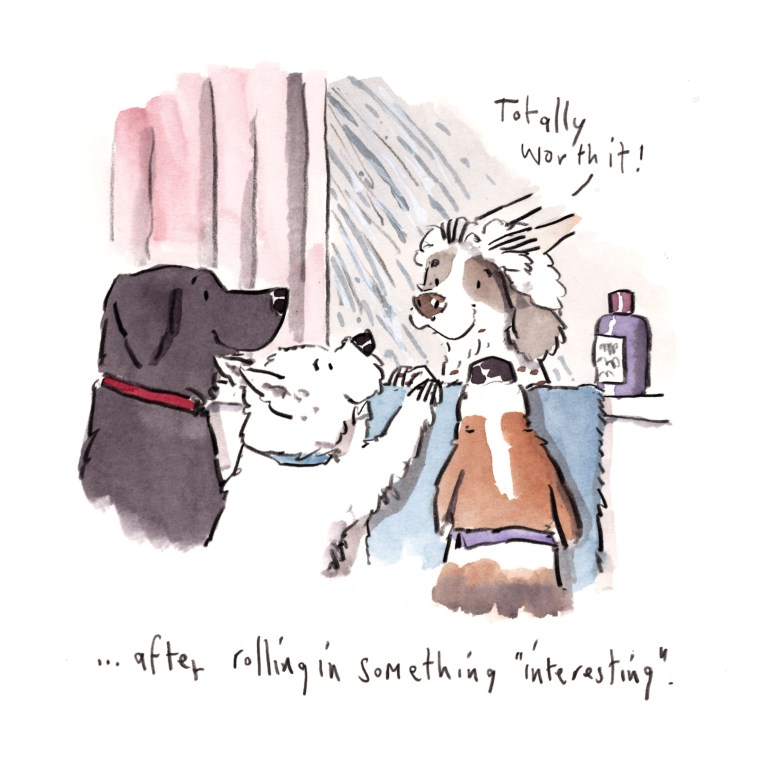 August Dogs – Iain Welch Art and Design