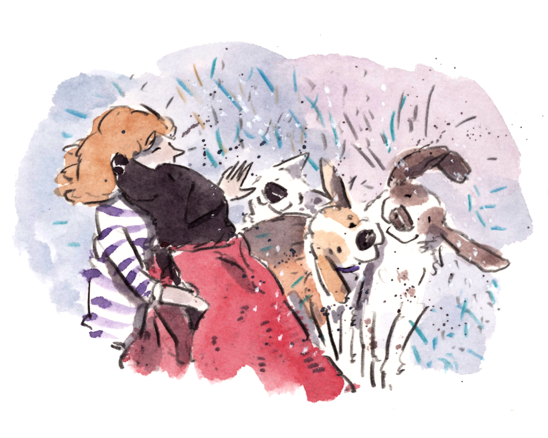 August Dogs – Iain Welch Art and Design