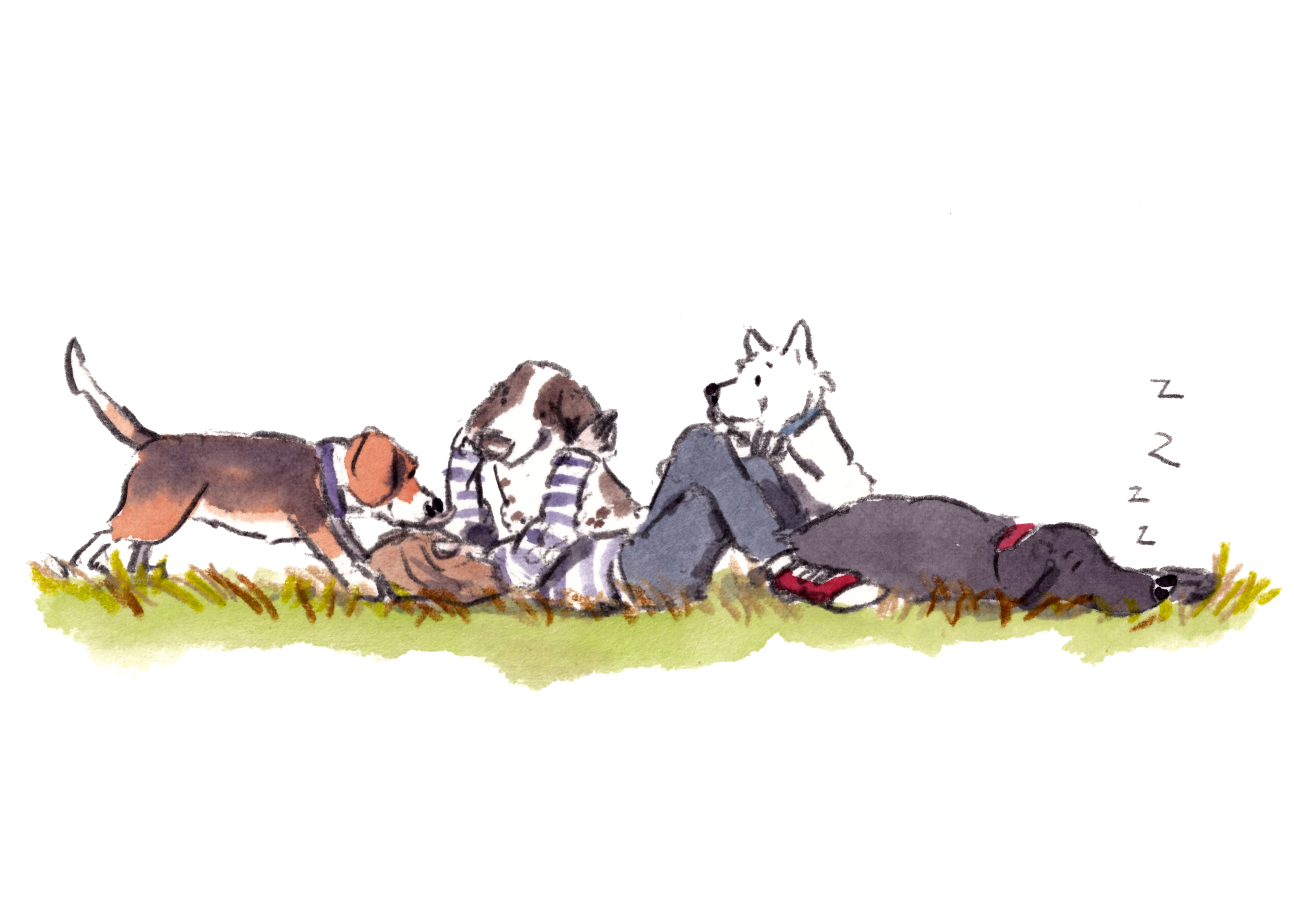 August Dogs – Iain Welch Art and Design