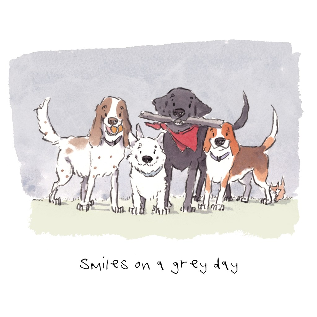 Summer 2022 – Iain Welch Art and Design