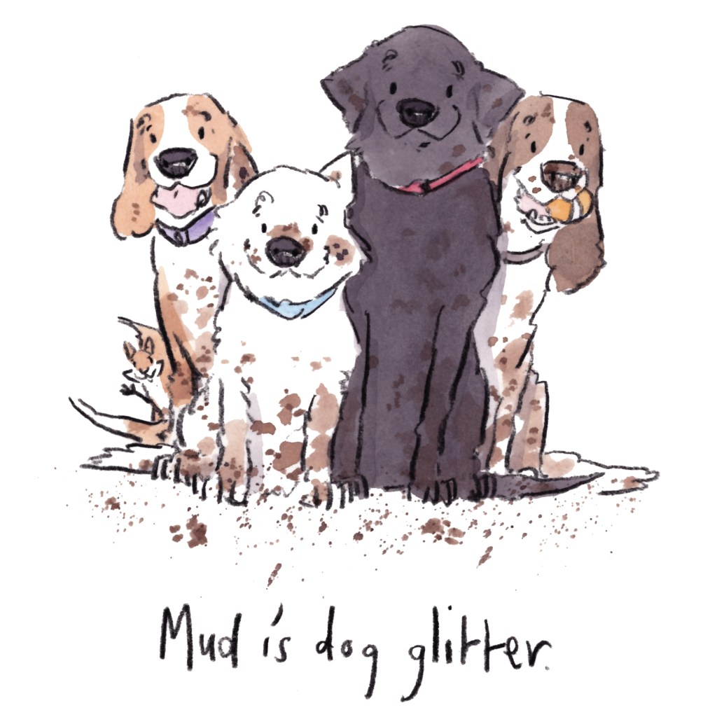 Summer 2022 – Iain Welch Art and Design