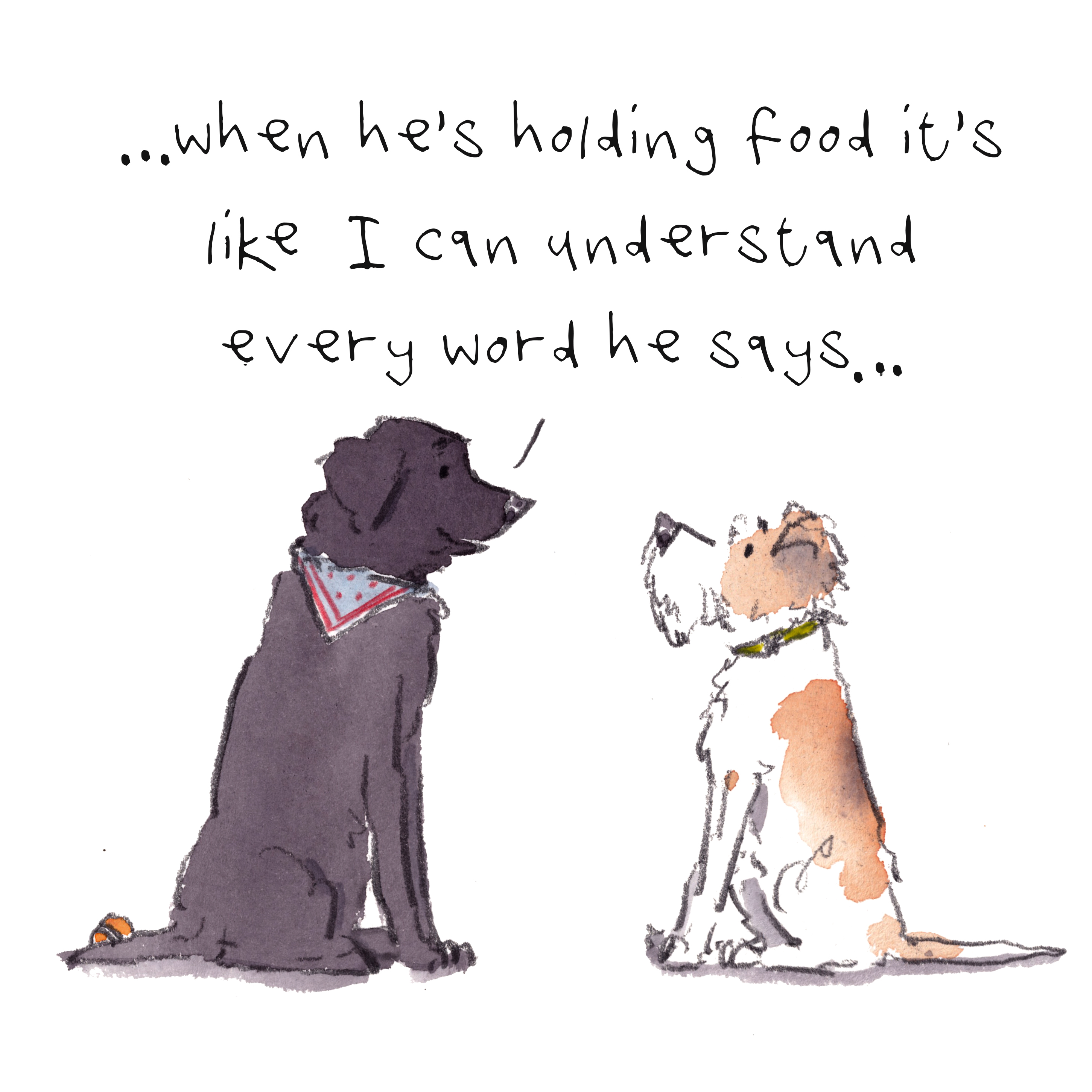 Dog Wisdom – Iain Welch Art and Design