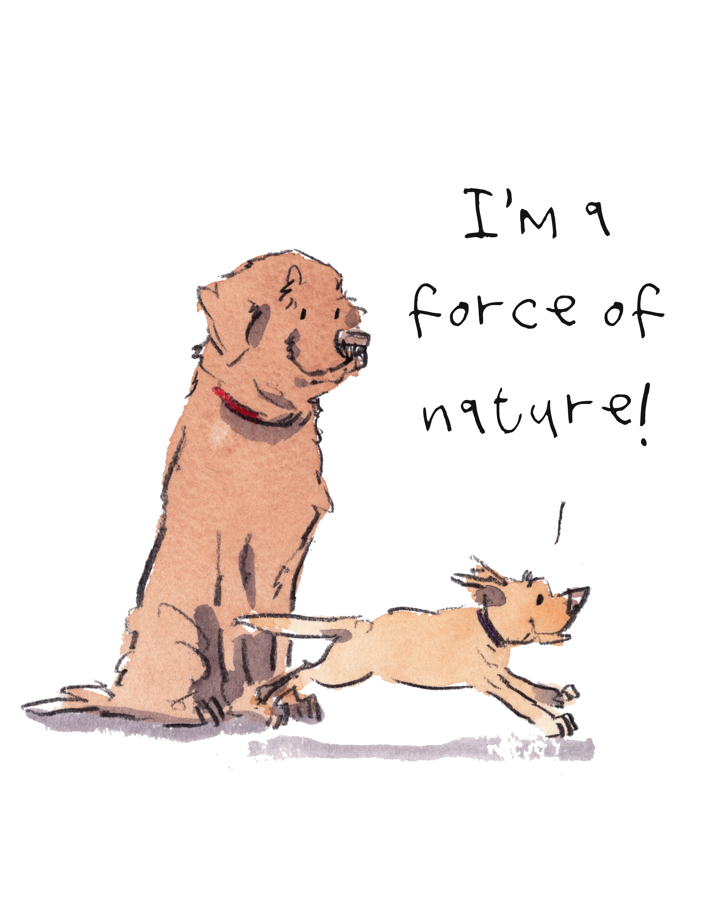 A force of nature – Iain Welch Art and Design